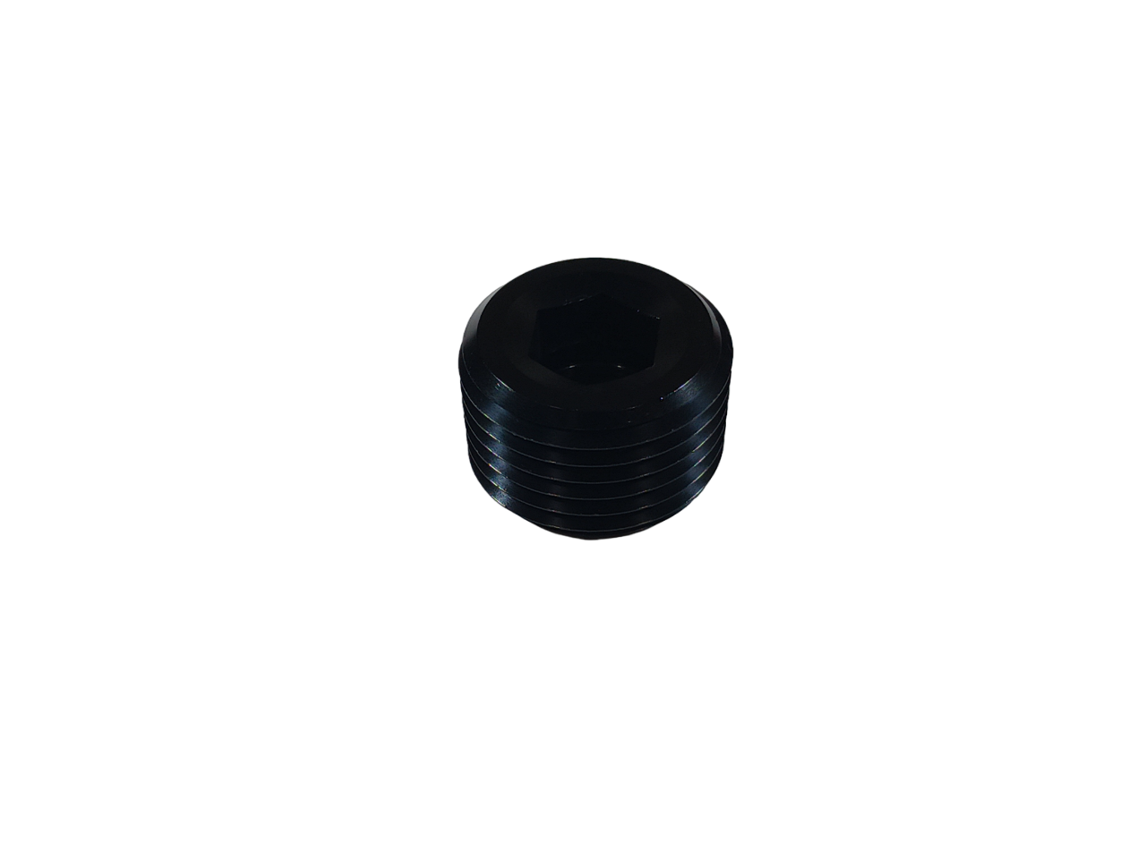 NPT Pipe Plug – IMS Motorsports